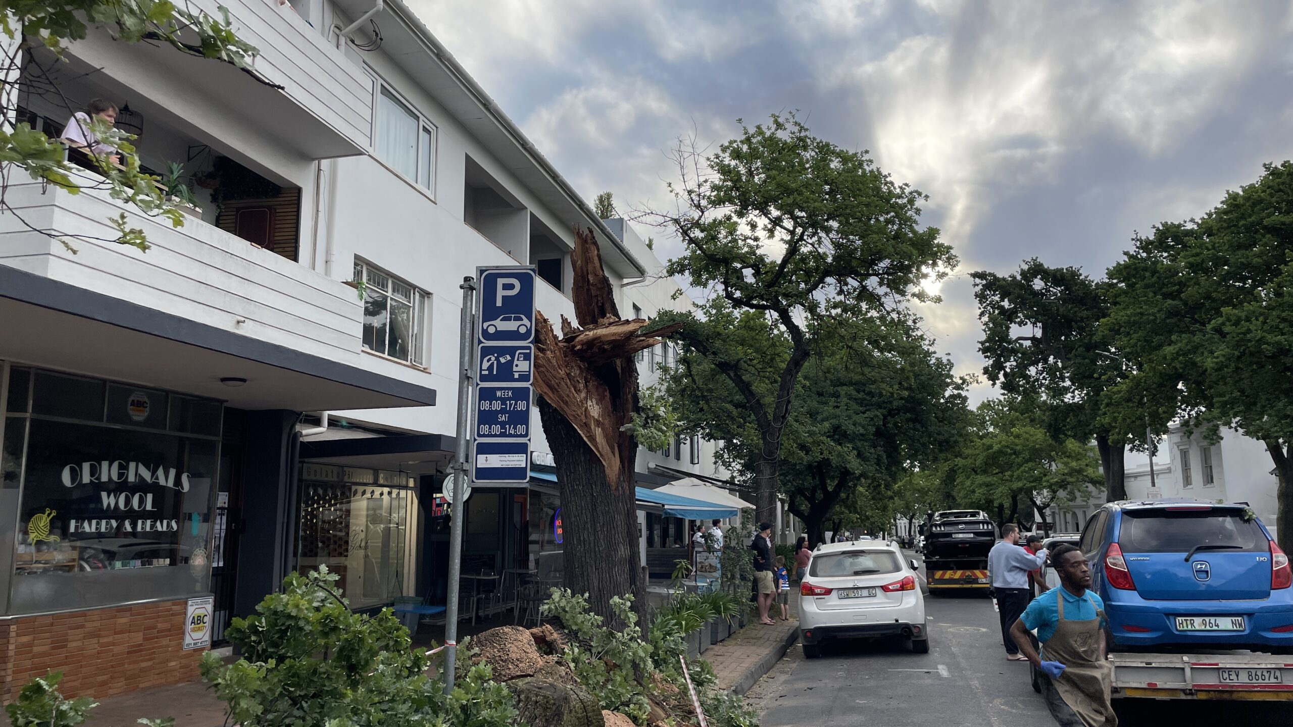 Tree collapse on Dorp Street causes traffic disruption | SMF News