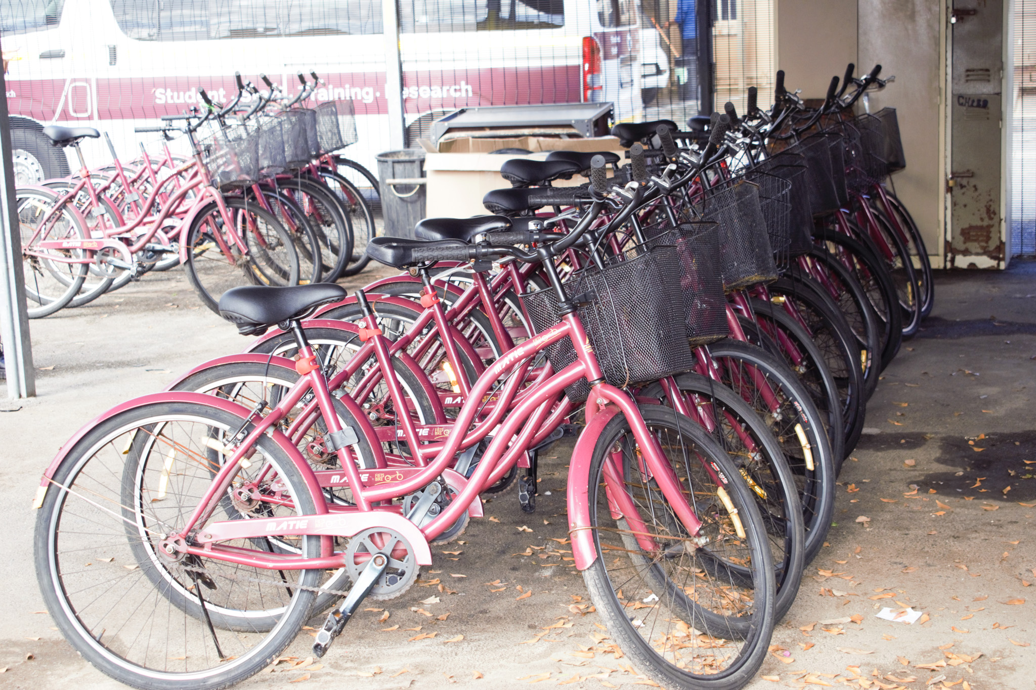 SU repurposes Matie Bikes for social impact | SMF News